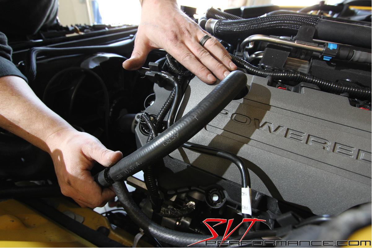 Tech: 2015 Mustang ProCharger Install – FordPowered