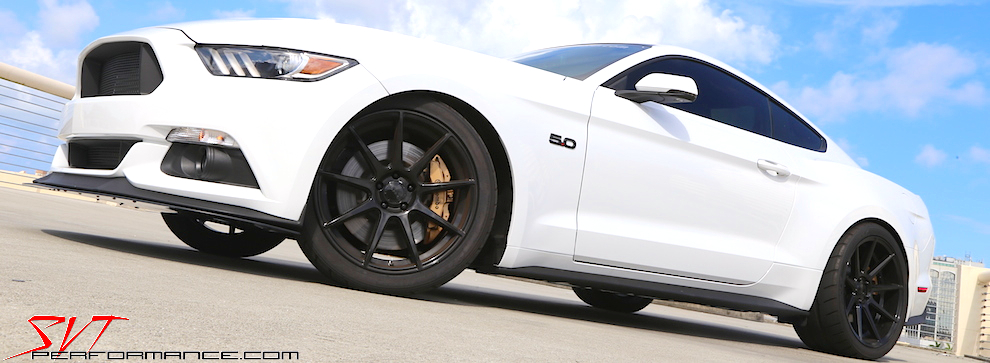 Feature: Dealer-ProCharged Mustangs – FordPowered